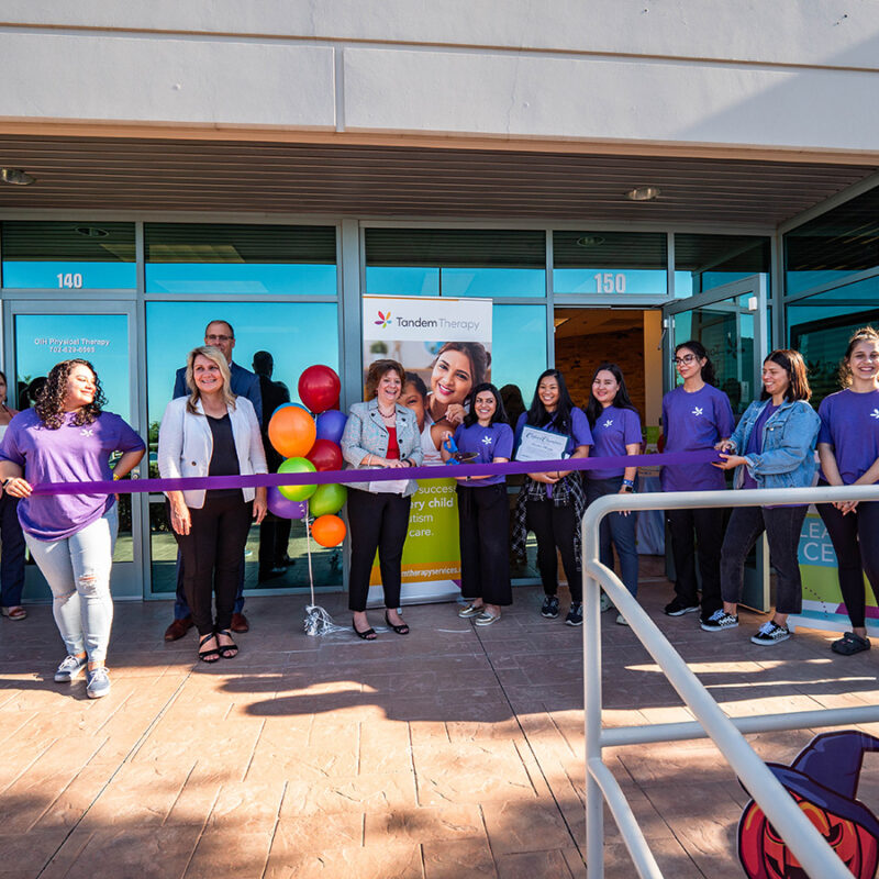 ABA Therapy Videos & Autism Video Resources - LEARN Behavioral